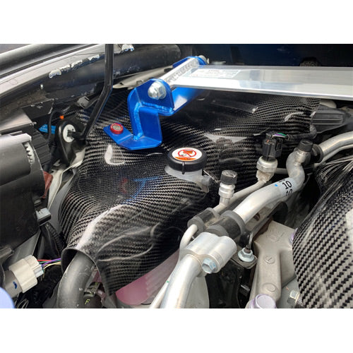 Password:JDM Dry Carbon Fiber Coolant Reservoir Cover (2017+ Toyota CH ...
